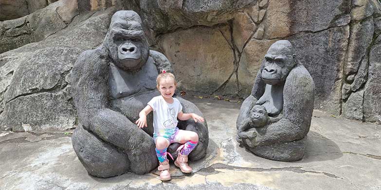 Taronga Zoo: The ultimate day out for animals, water play & cable cars ...