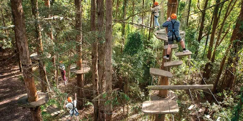High ropes courses near the North Shore | Adventures in the treetops