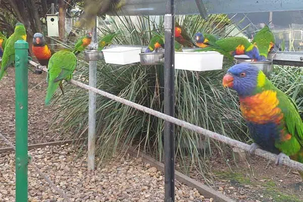 Travel Guide | Best things to do with kids in Canberra