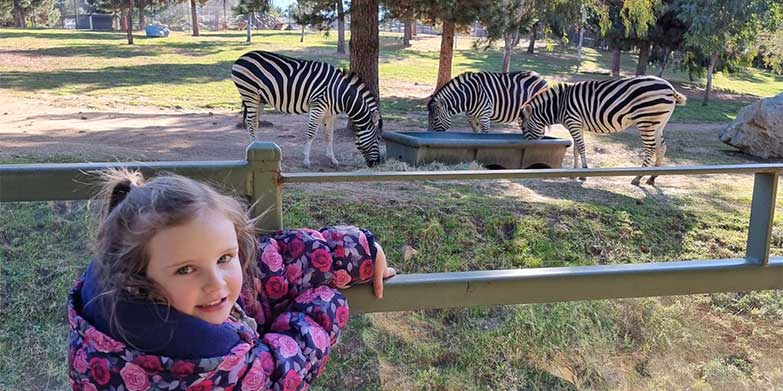 Travel Guide | Best things to do with kids in Canberra