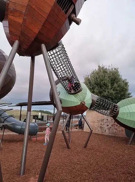 Travel Guide | Best things to do with kids in Canberra