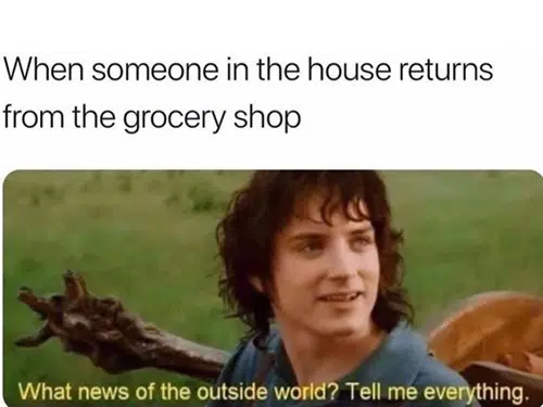 10 funny memes about supermarket shopping in lockdown