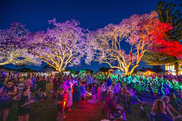 Jacaranda trees on the North Shore | North Shore Mums