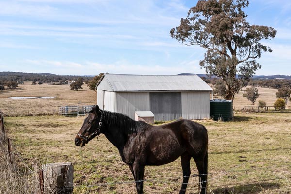 Nottingham Farm | Belgravia