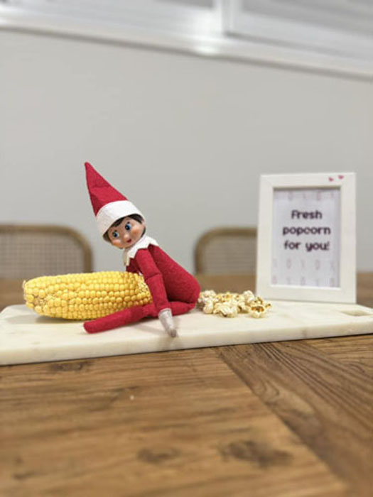 27 Elf on the Shelf Ideas