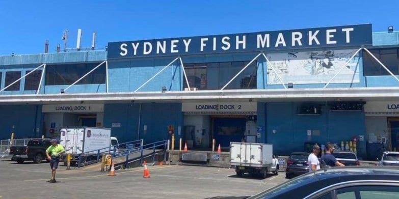 Sydney Fish Market: A day out by the water | North Shore Mums
